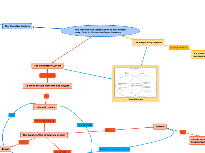 SNC2D0 G Biology Unit Summative Concept Ma...- Mind Map